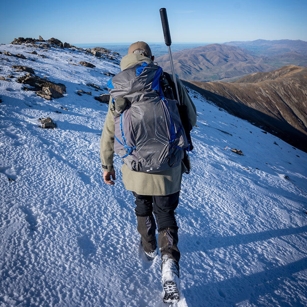 Hunting in Winter